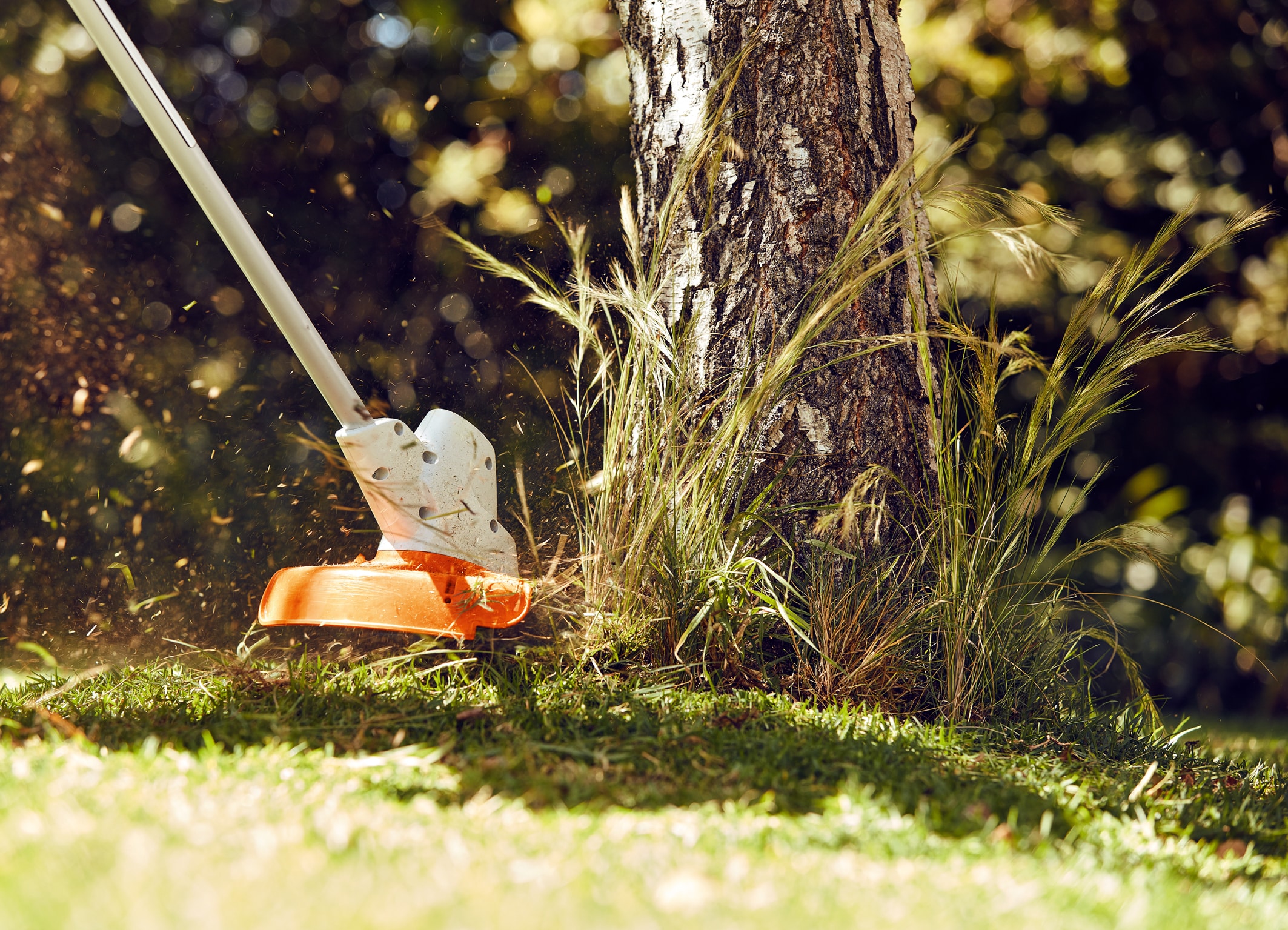 Quel est selon vous le meilleur rotofil ? - I-Annuaire